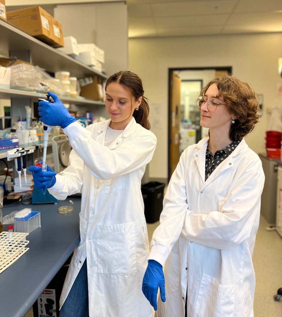 Research paves the way for safer colonoscopy bowel prep for people with ...